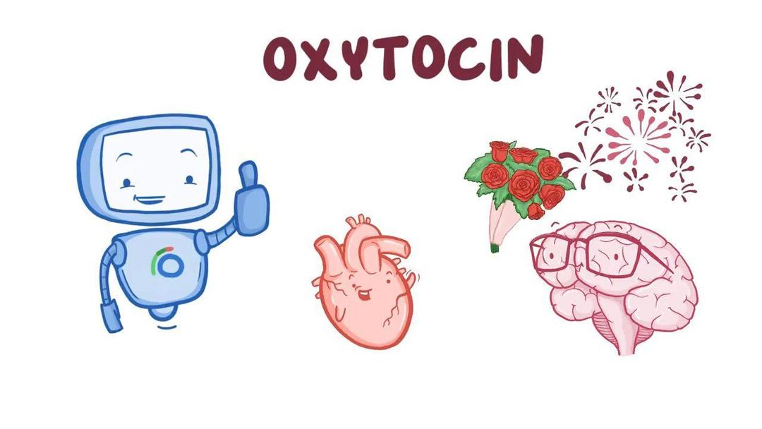 Knowledge Shot: Oxytocin: the Love Hormone.: Video, Causes, & Meaning ...