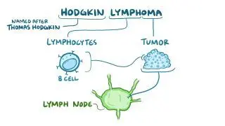 Lymphomas Notes: Diagrams & Download PDF | Osmosis