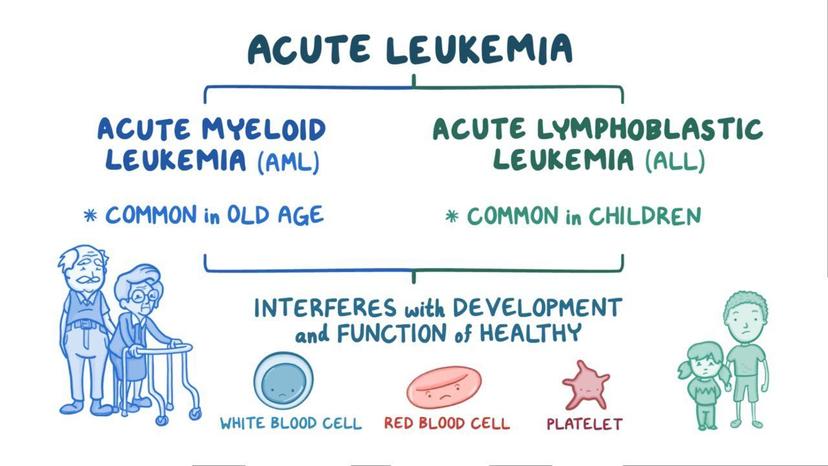 Acute leukemia: Video, Anatomy, Definition & Function | Osmosis