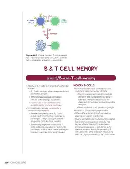 B- and T-cell memory: Video, Causes, & Meaning | Osmosis