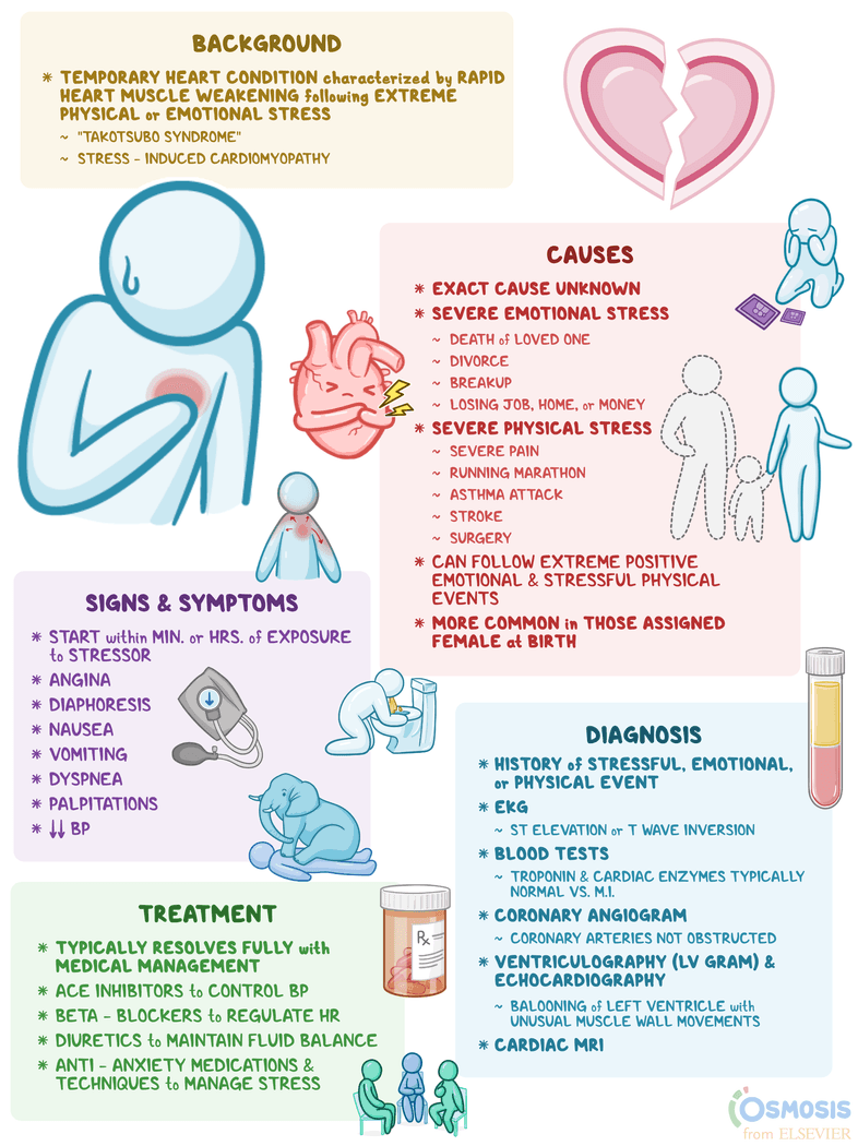 Broken Heart Syndrome: What Is It, Causes, Signs and Symptoms | Osmosis