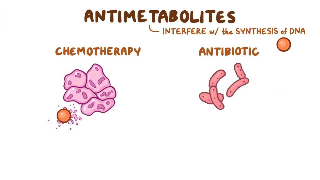 Antimetabolites: Sulfonamides and trimethoprim: Video | Osmosis