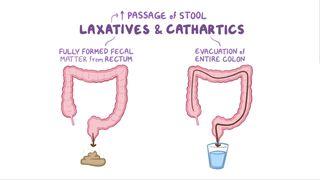 Lazy Bowel Syndrome: What Is It, Causes, Treatment | Osmosis