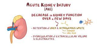 Anuria: What Is It, Causes, Treatment, and More | Osmosis