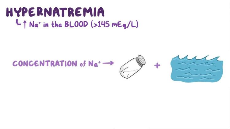 Hypernatremia: Clinical: Video, Anatomy & Definition | Osmosis