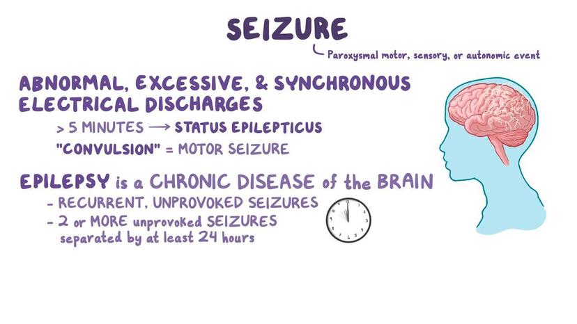 Seizures: Clinical: Video, Anatomy & Definition | Osmosis
