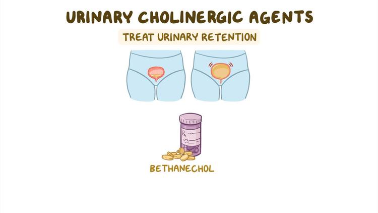 Cholinergic therapy (GU): Nursing pharmacology - Osmosis Video Library