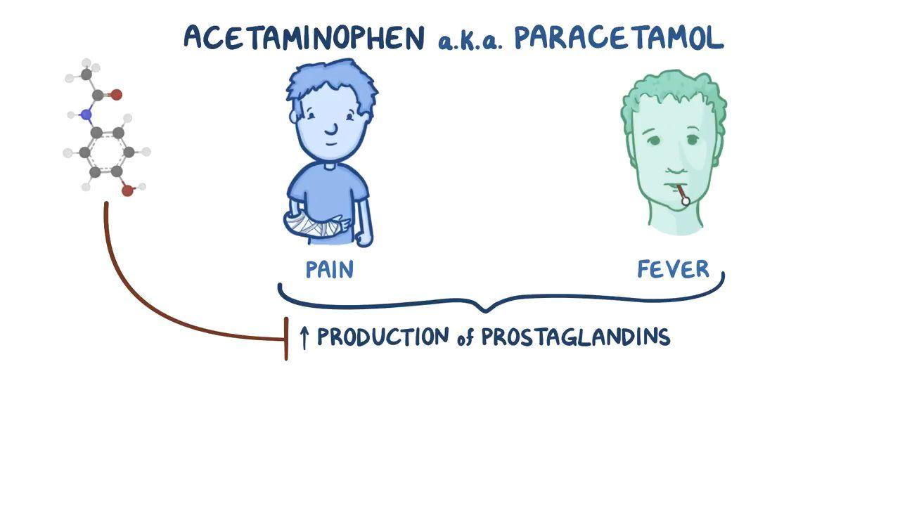 Paracetamol (acetaminofeno): Vídeo & Anatomía | Osmosis