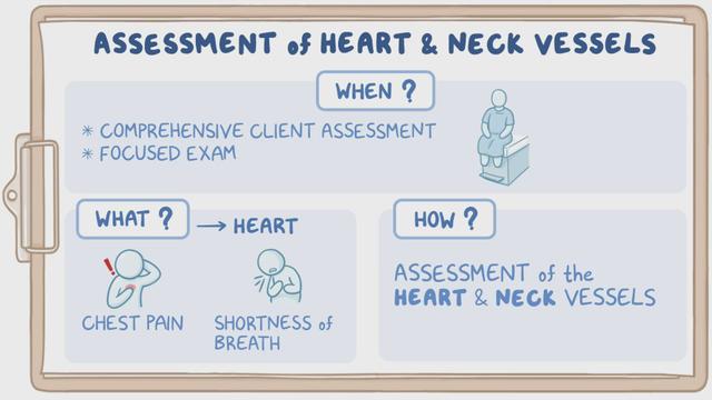 Heart: Examination and Findings - Osmosis Video Library