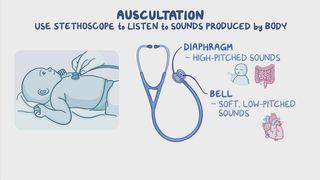 Heart & Lung Auscultation Points and Locations | Osmosis