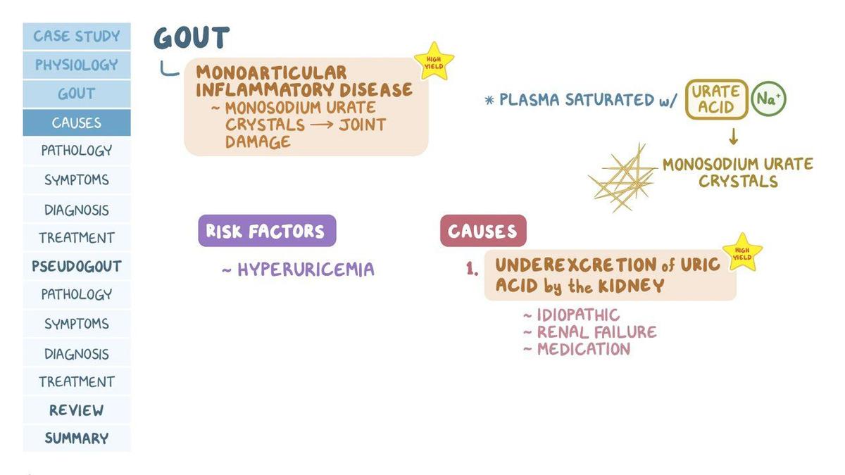 Gout and pseudogout: Pathology review: Video | Osmosis