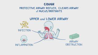 Paroxysmal Cough: What It Is, Causes, Signs and Symptoms, Diagnosis ...