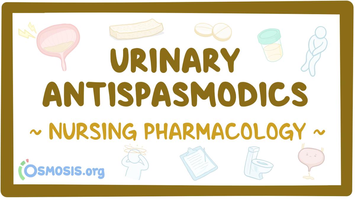 Antispasmodics (GU): Nursing pharmacology - Osmosis Video Library