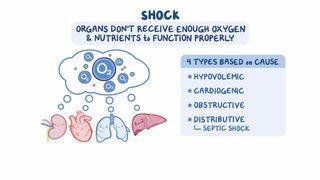 SEPSIS: Risk Factors for Septic Shock Acronym | Osmosis