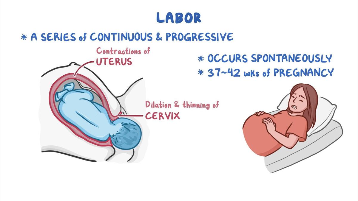Nursing Care of the Family During Labor and Birth - Osmosis Video Library