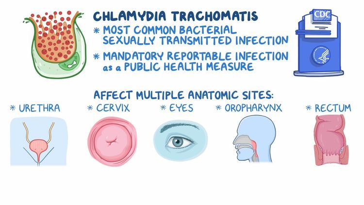 Chlamydia trachomatis infection: Clinical sciences - Osmosis Video Library