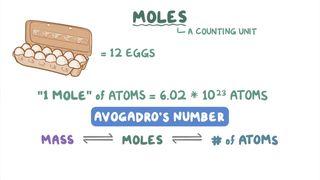 Vesicular Stomatitis Virus: What It Is, Transmission | Osmosis