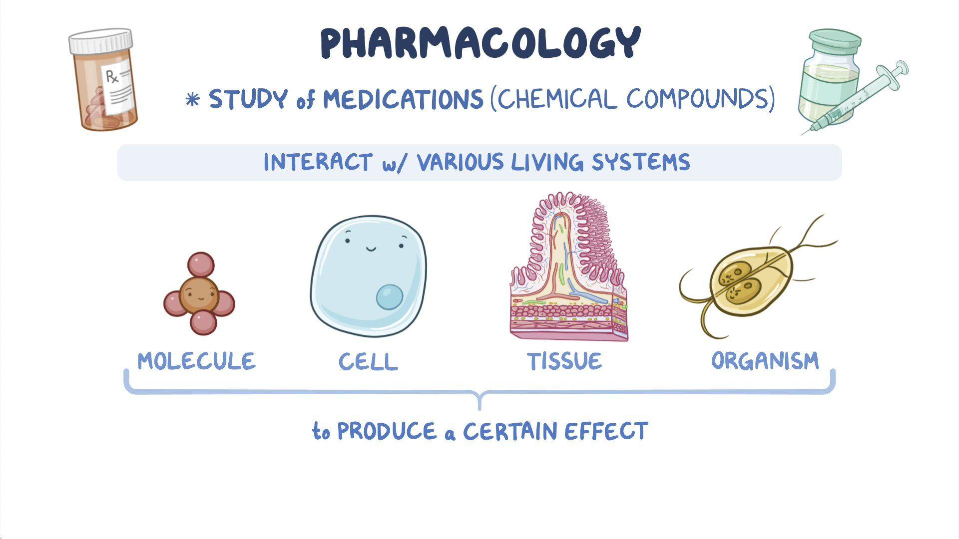 Introduction to pharmacology: Video & Anatomy | Osmosis