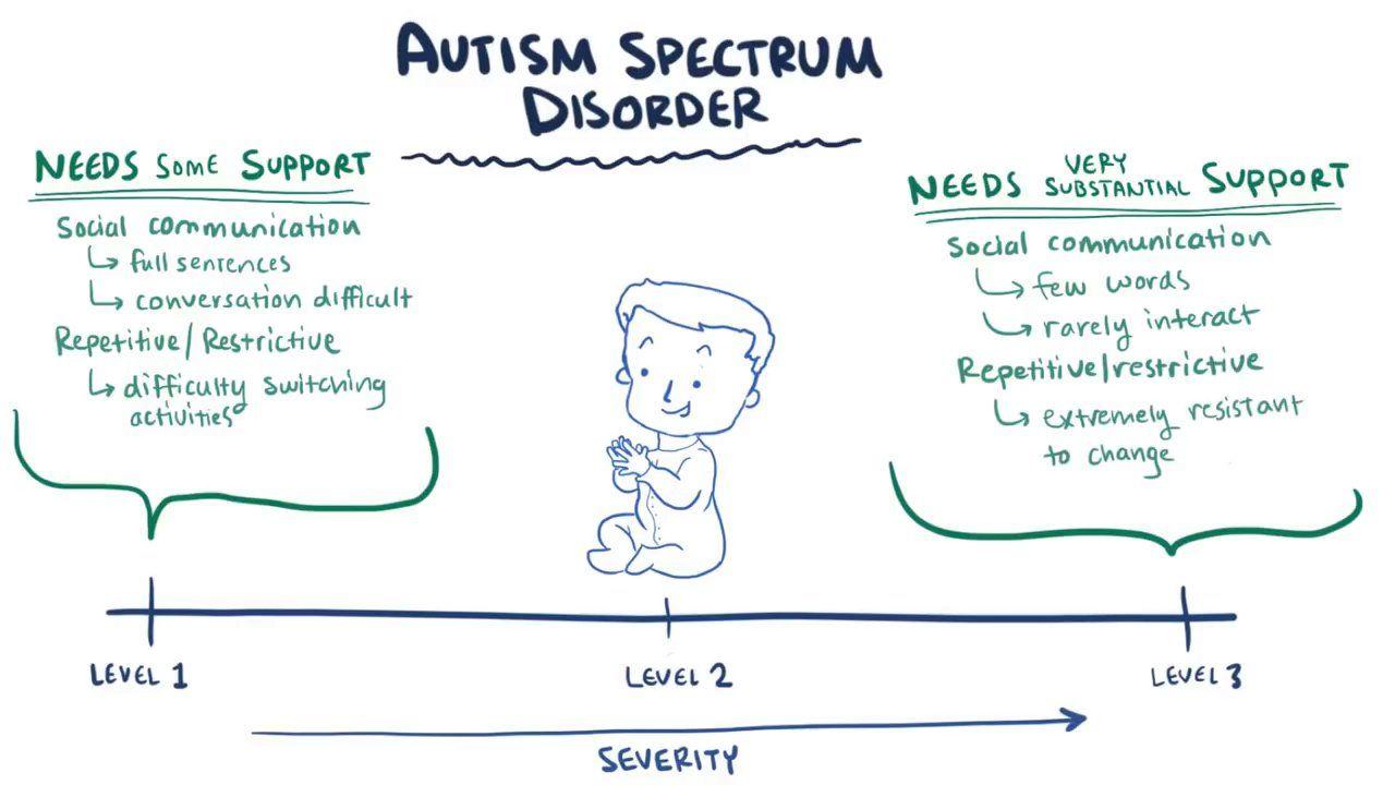 Autism spectrum disorder: Video, Anatomy & Definition | Osmosis
