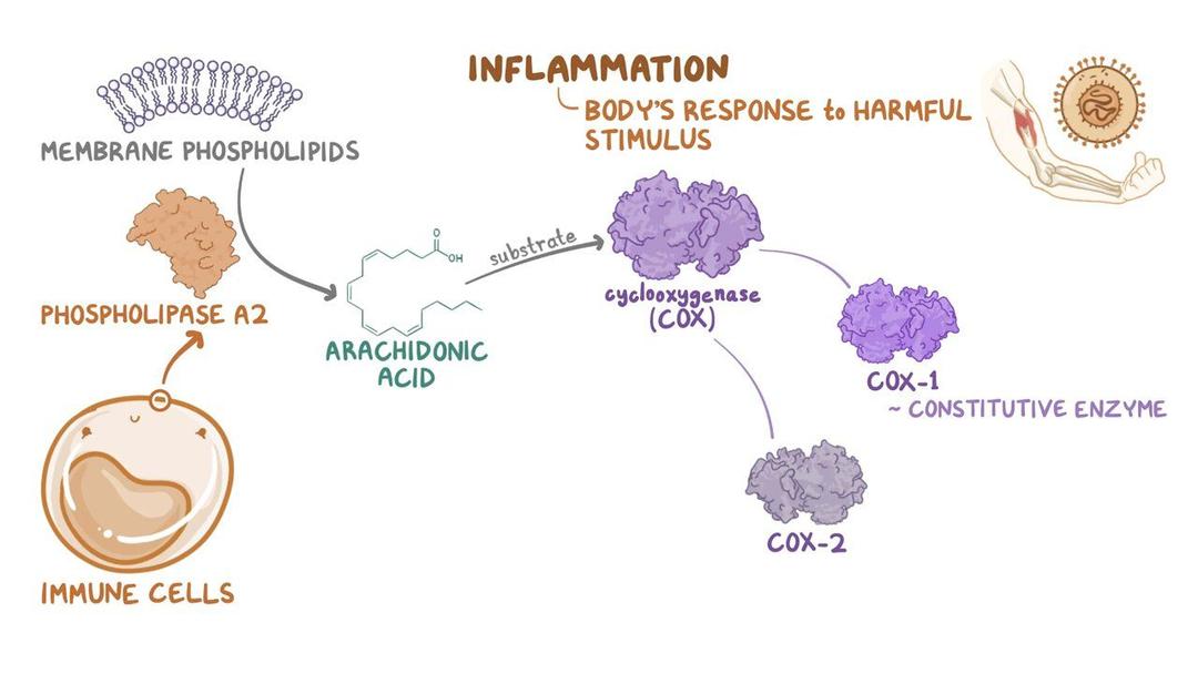 Non-steroidal anti-inflammatory drugs: Video | Osmosis