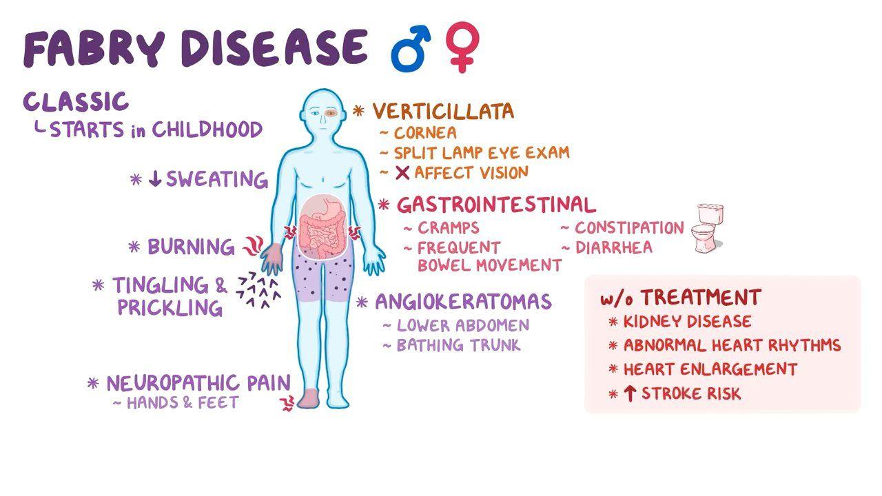 Fabry disease (NORD): Video, Anatomy & Definition | Osmosis