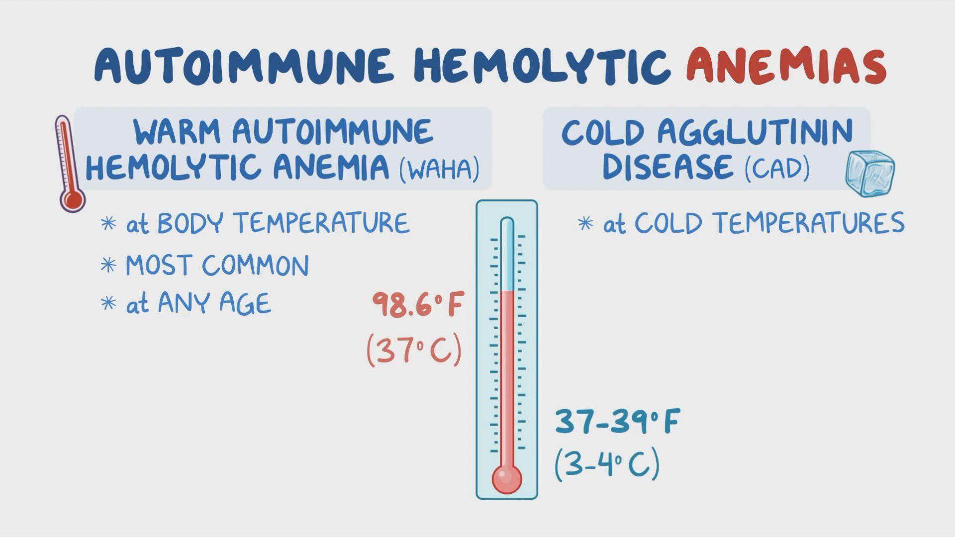 Warm autoimmune hemolytic anemia and cold agglutinin (NORD) | Osmosis