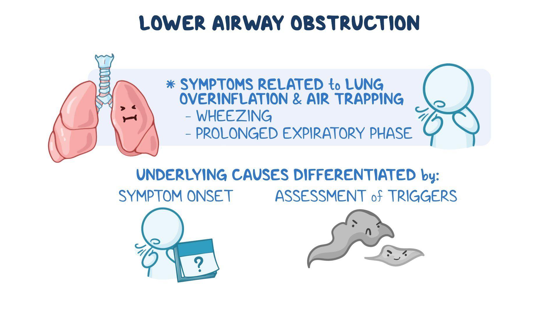 Approach to lower airway obstruction (pediatrics): Clinical sciences ...