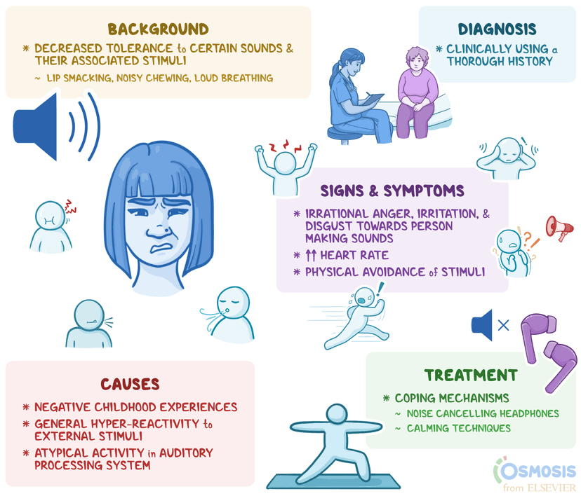 Misophonia What Is It Causes Signs Symptoms Osmosis Misophonia What Is It Causes Signs Symptoms Osmosis
