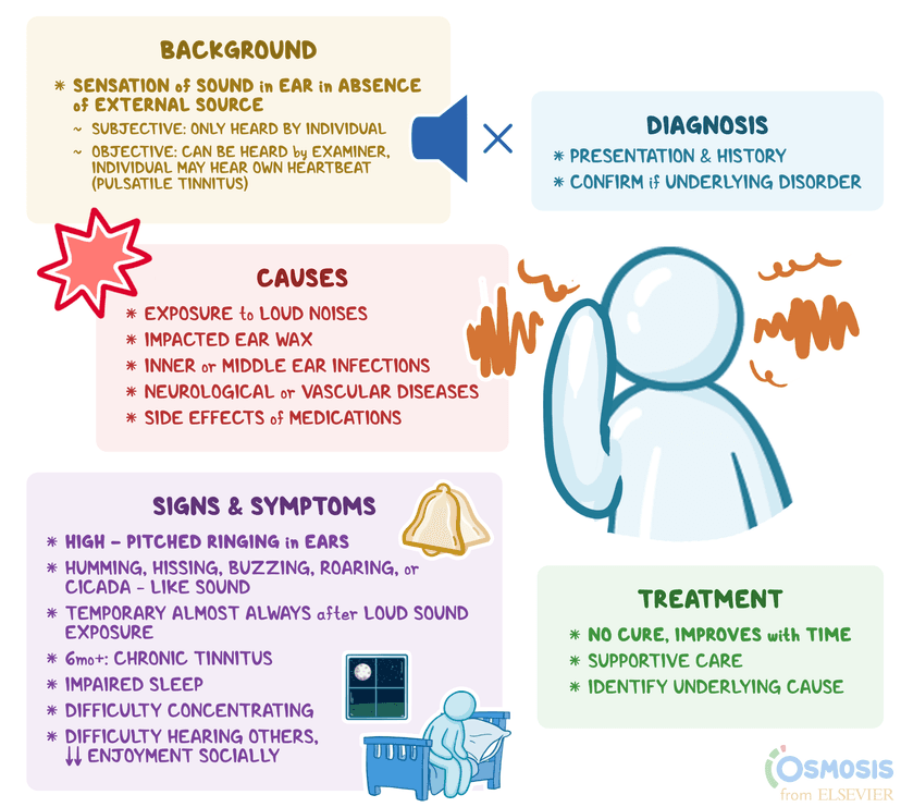 Tinnitus What Is It Causes Treatment And More Osmosis Tinnitus What Is It Causes Treatment And More Osmosis