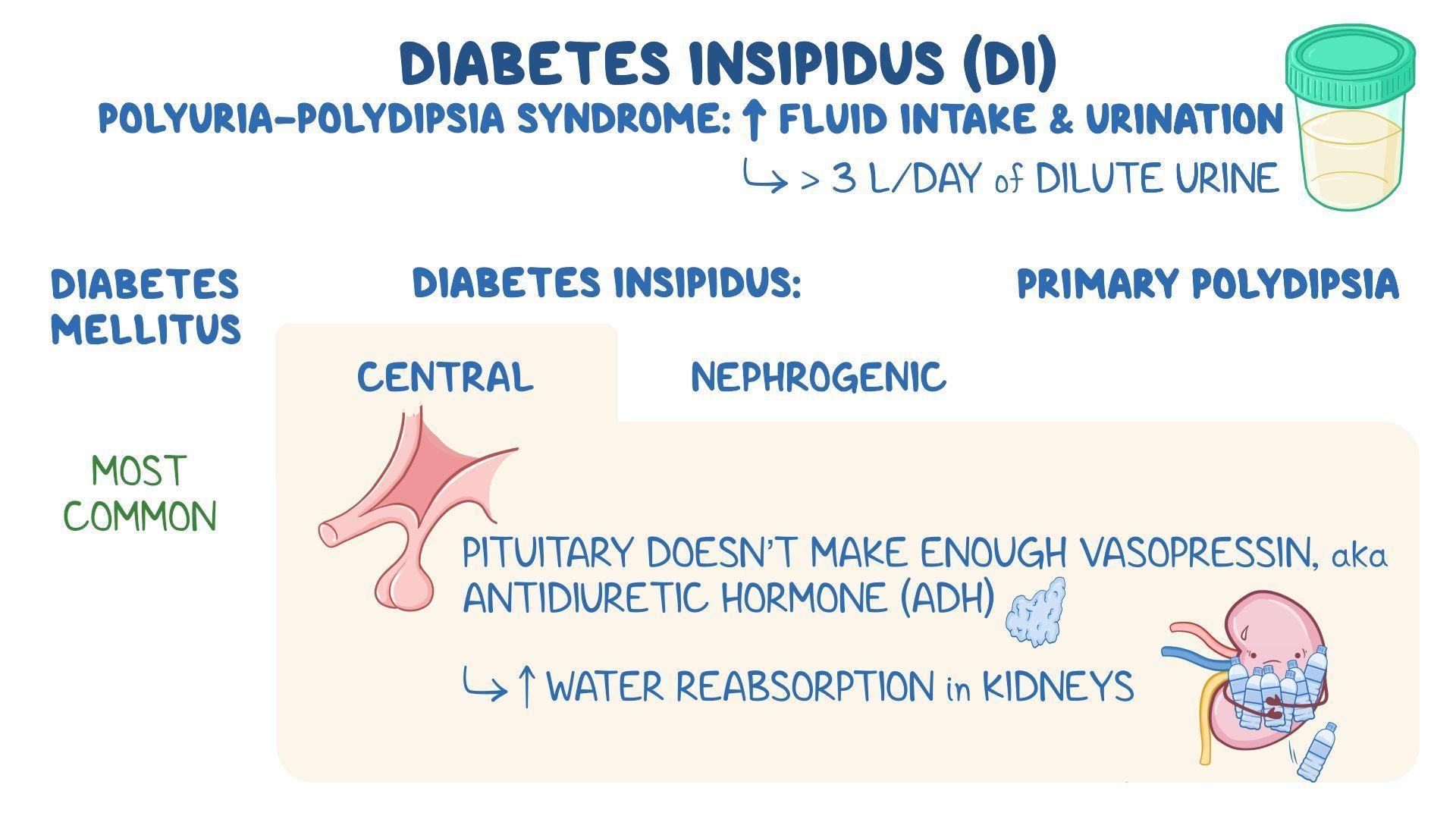 Diabetes Insipidus Video Meaning Osmosis Diabetes Insipidus Video Meaning Osmosis