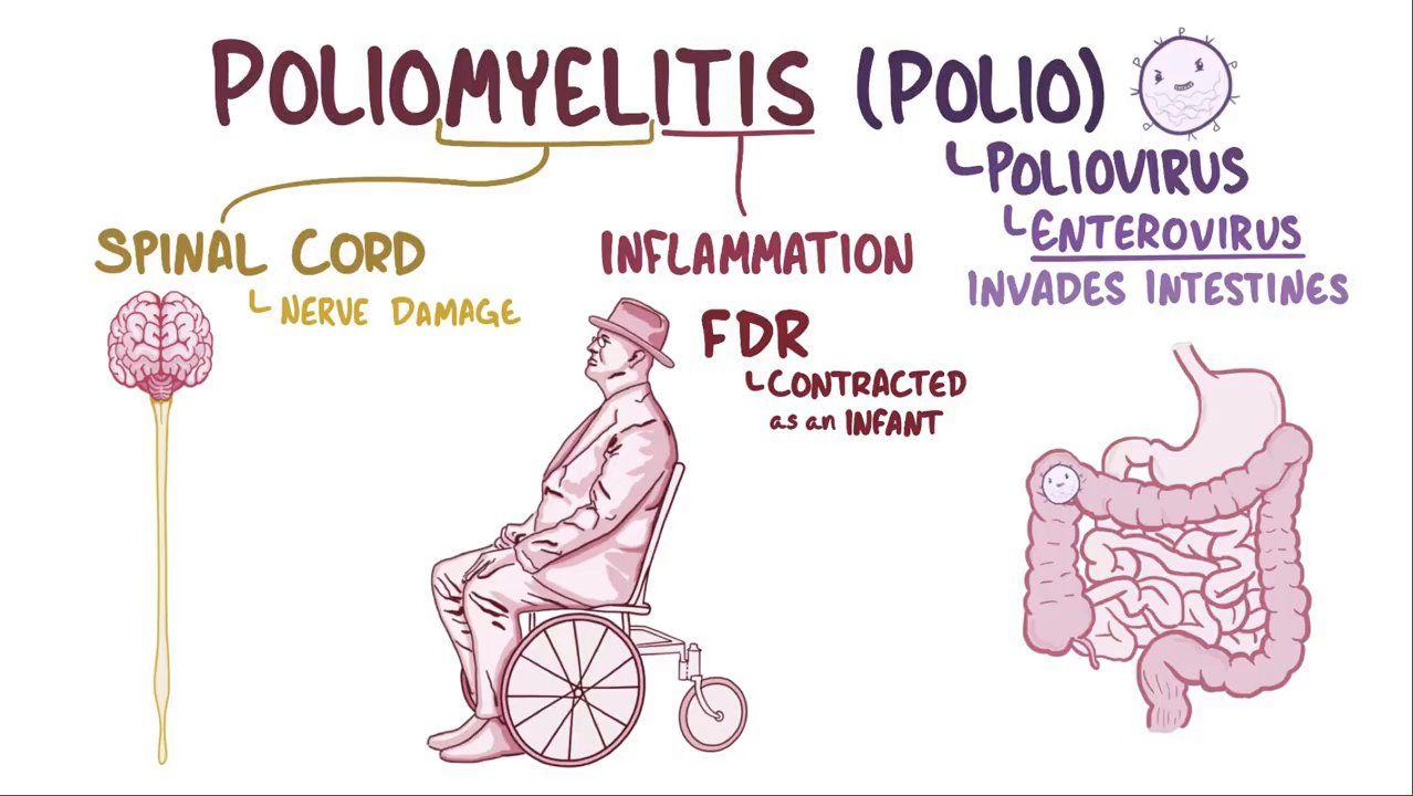 Poliovirus Video Anatomy Definition Function Osmosis Poliovirus Video Anatomy Definition Function Osmosis