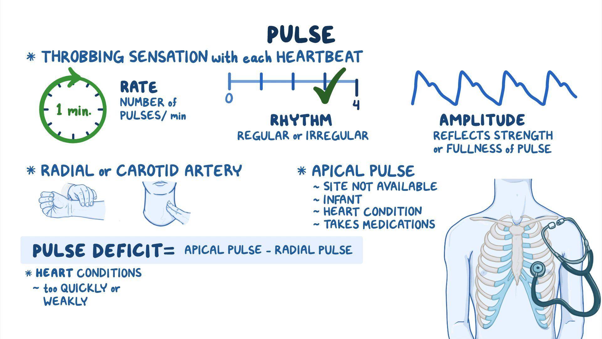 Vital Signs Pulse Nursing Skills Osmosis Video Library Vital Signs Pulse Nursing Skills Osmosis Video Library
