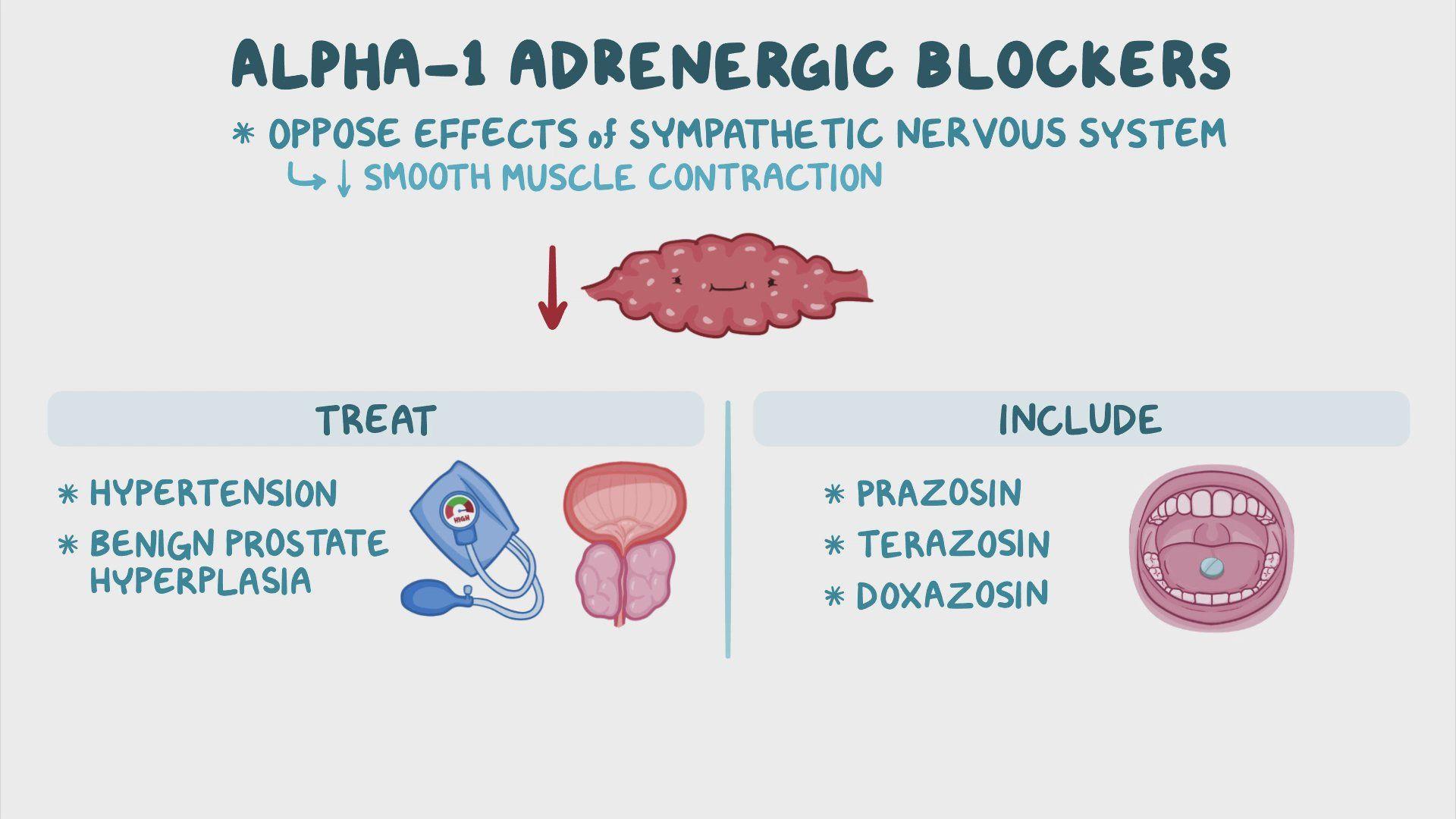 Alpha 1 Adrenergic Blockers Nursing Pharmacology Osmosis Video Library Alpha 1 Adrenergic Blockers Nursing Pharmacology Osmosis Video Library