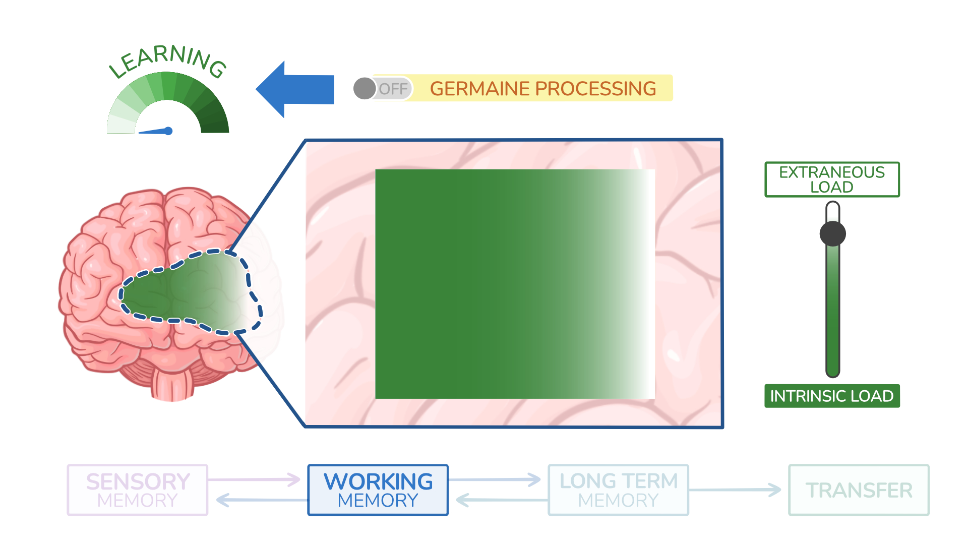 Cognitive Load: What is it and why does it matter in healthcare ...