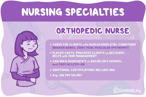Choosing a Nursing Specialty: 20 of the Most Popular Career Tracks for ...