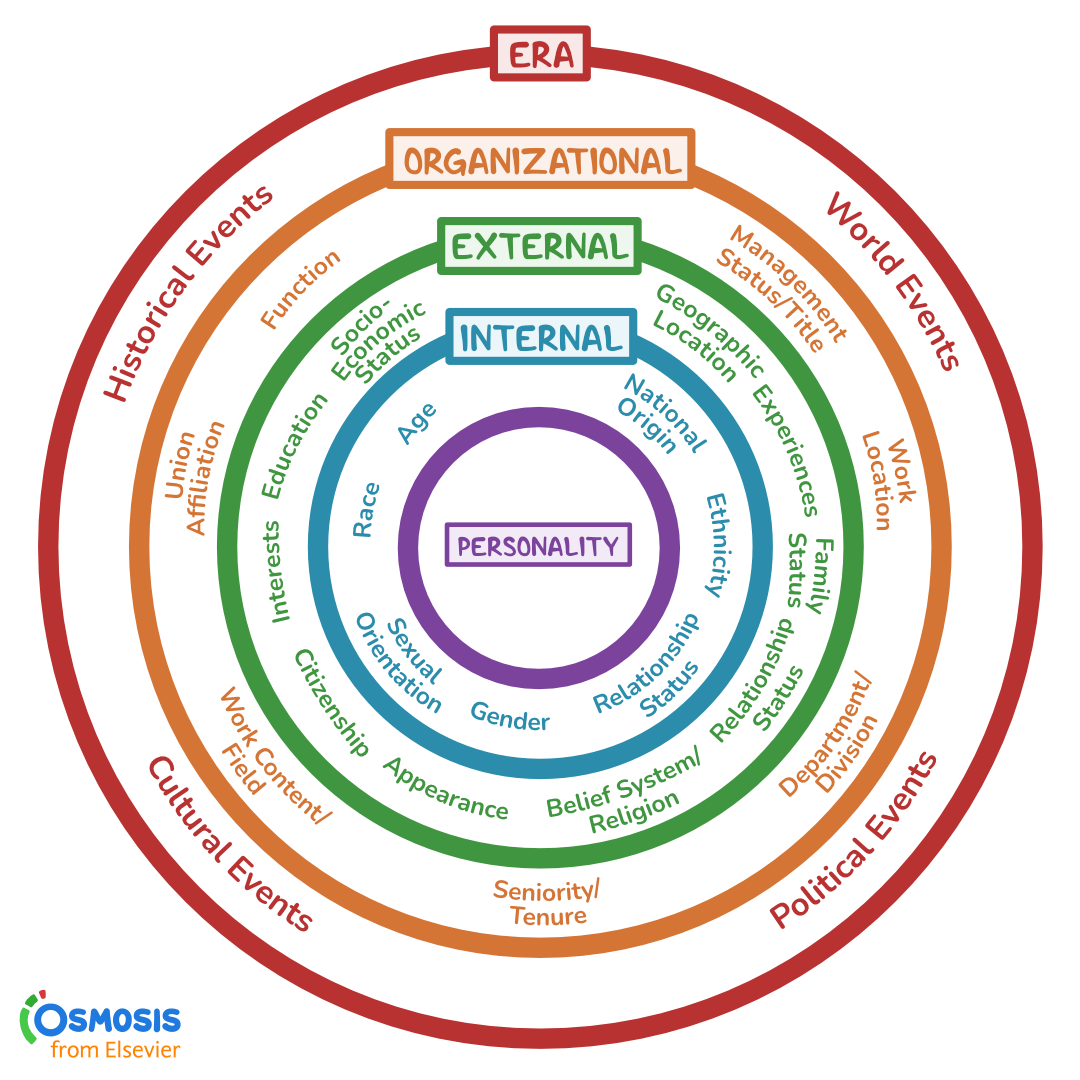 What Is Intersectional Healthcare and Why Is It Important? - Osmosis Blog
