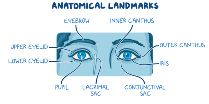 NCLEX-RN® Question of the Day: Outer canthus - Osmosis Blog