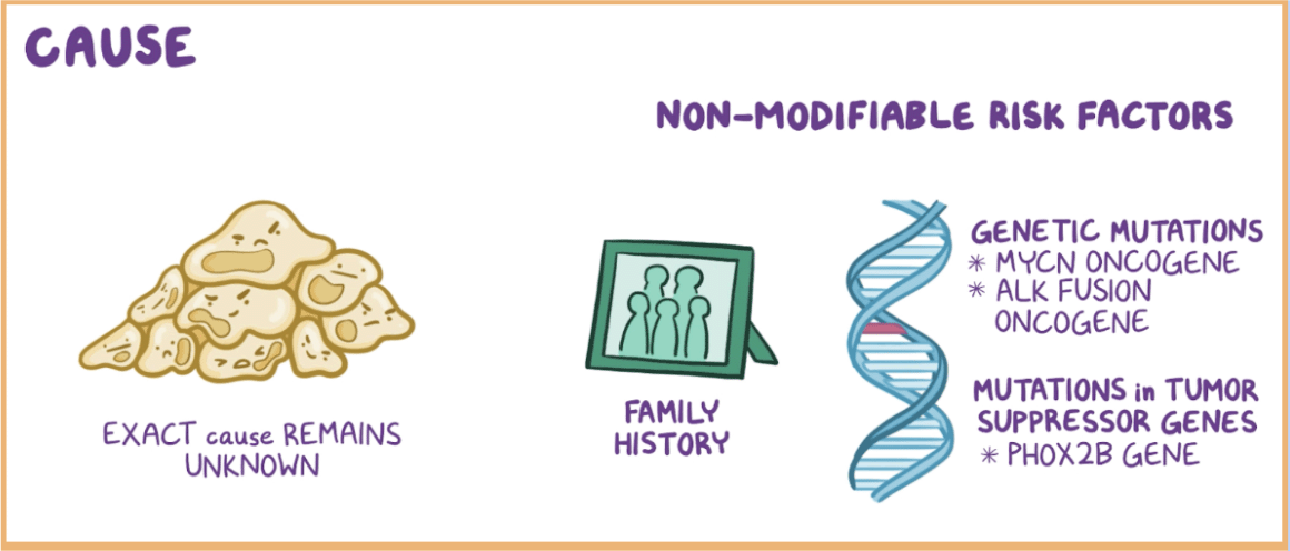 NCLEX-RN® Question of the Day: Non-modifiable risk factors - Osmosis Blog