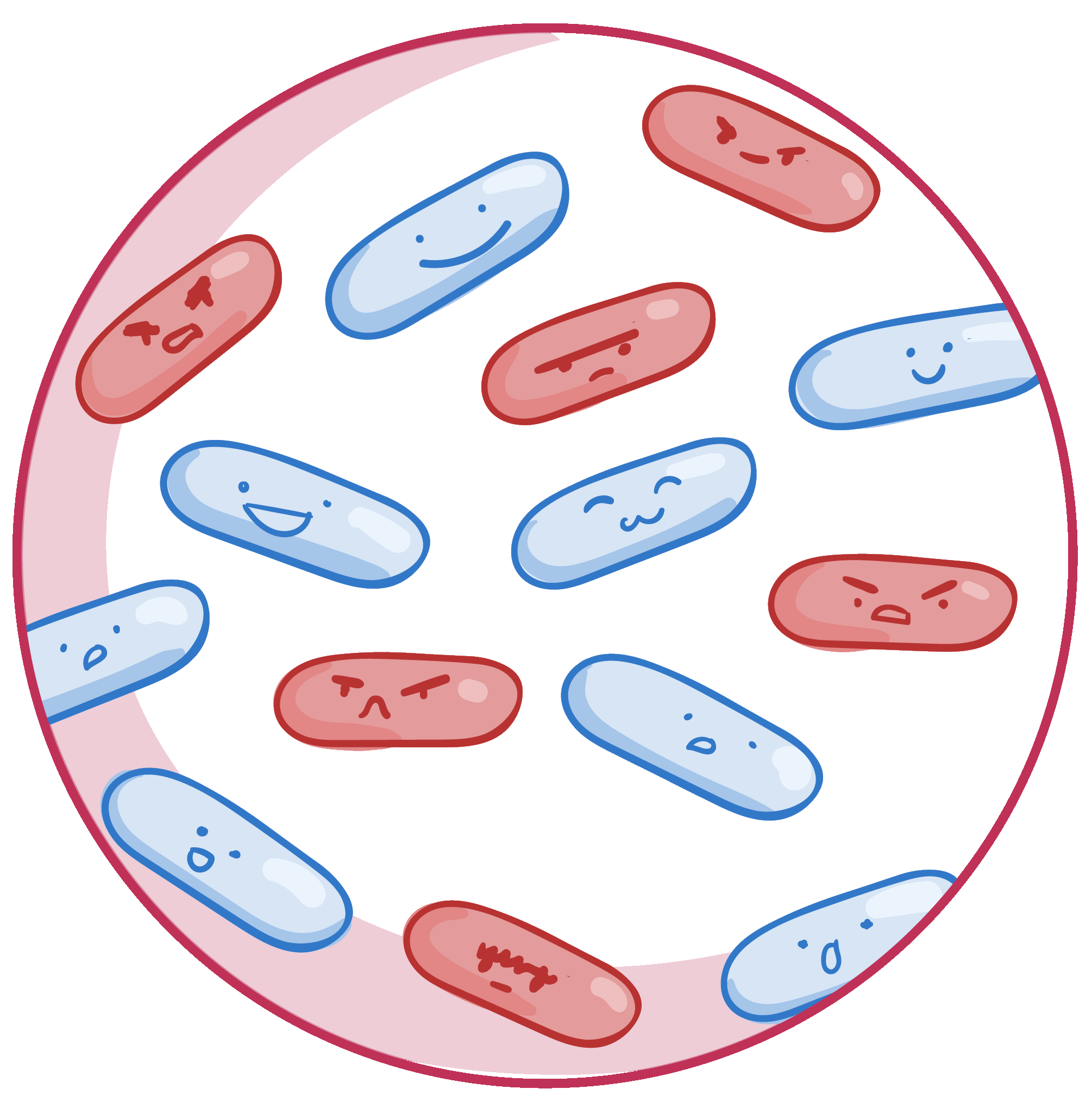 A Quick Reference Guide to Common Conditions Associated with Gut Health ...