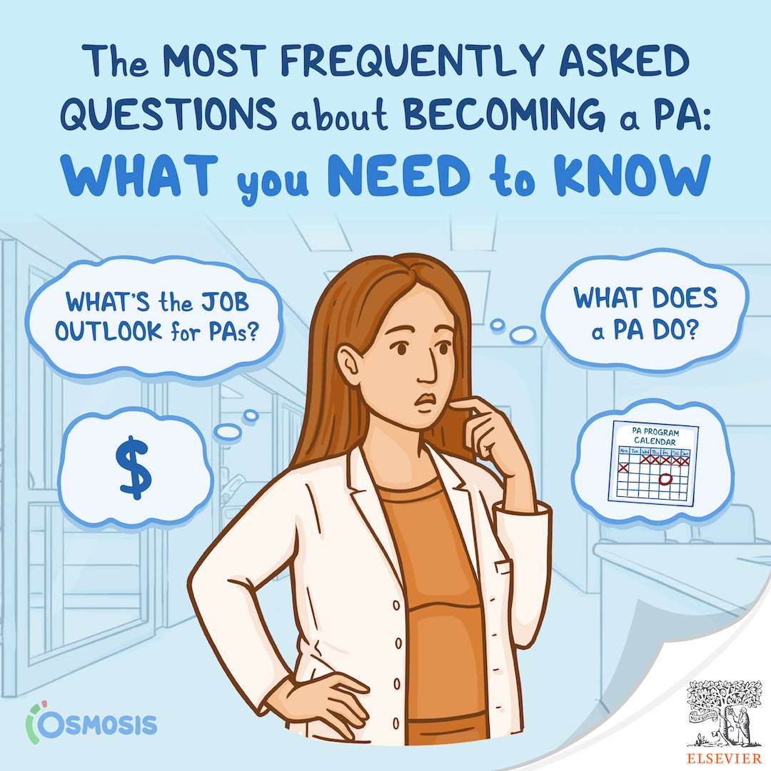 The Most Frequently Asked Questions About Becoming a PA: What You Need ...