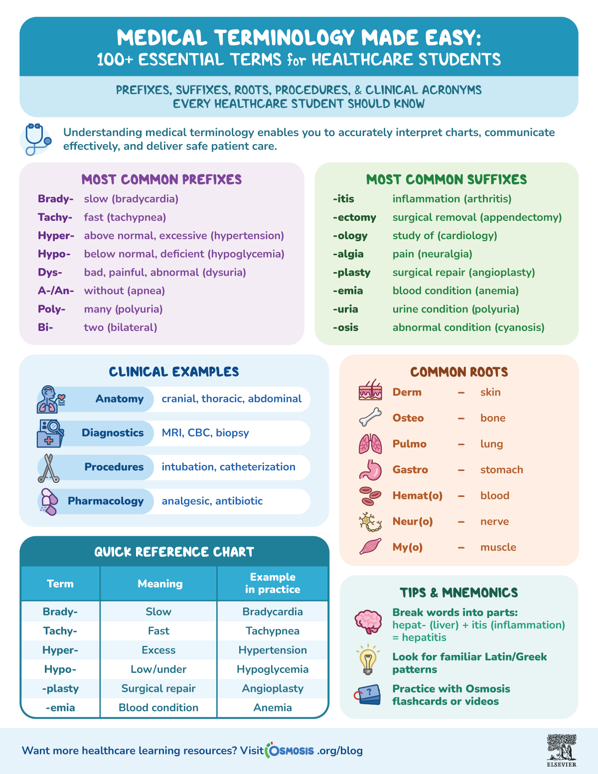 Medical Terminology Made Easy: 100 Essential Terms for Healthcare ...