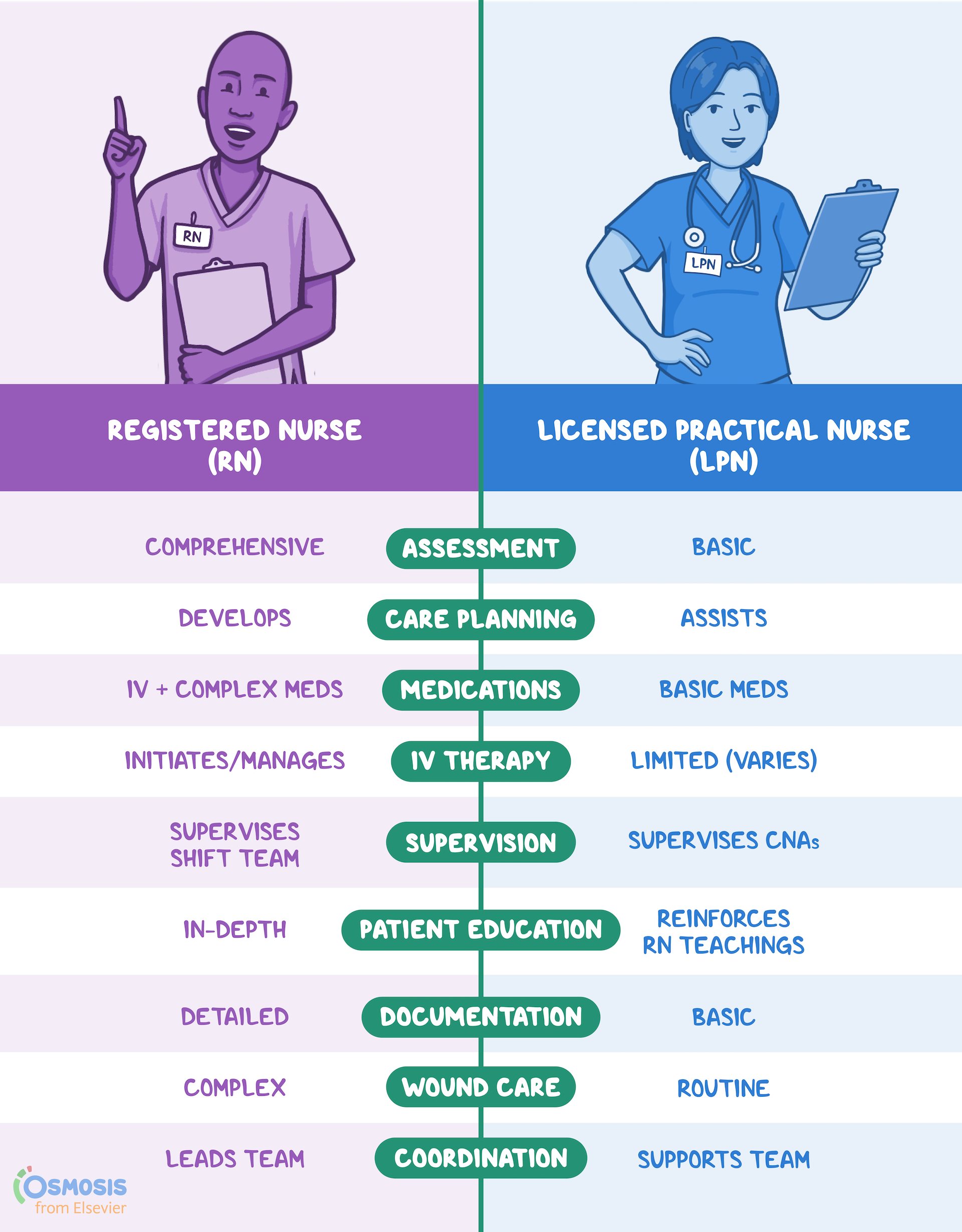 RN vs LPN: What's the Right Role for Your Professional Goals? - Osmosis ...