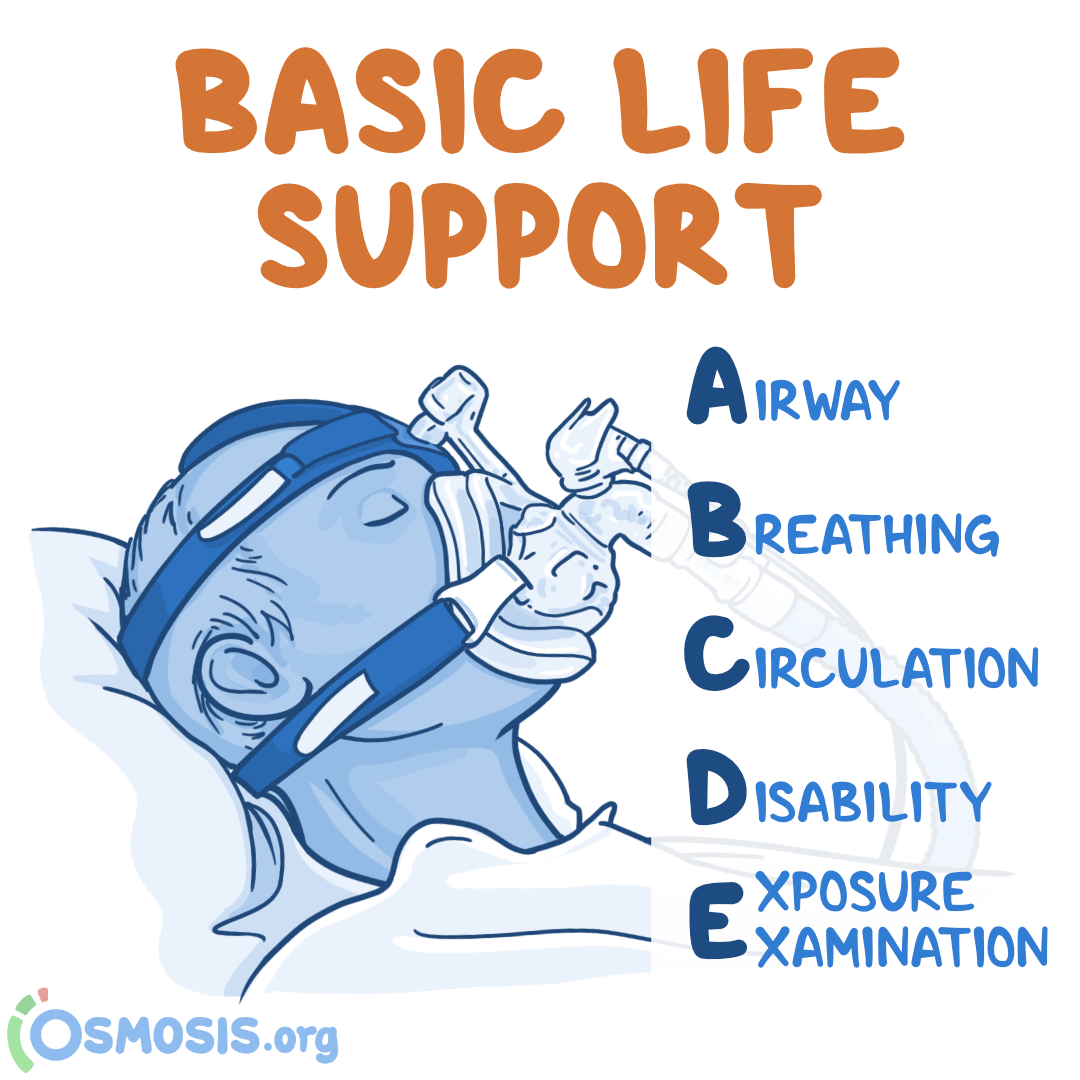 The Top 10 Helpful Nursing Mnemonics from Osmosis - Osmosis Blog