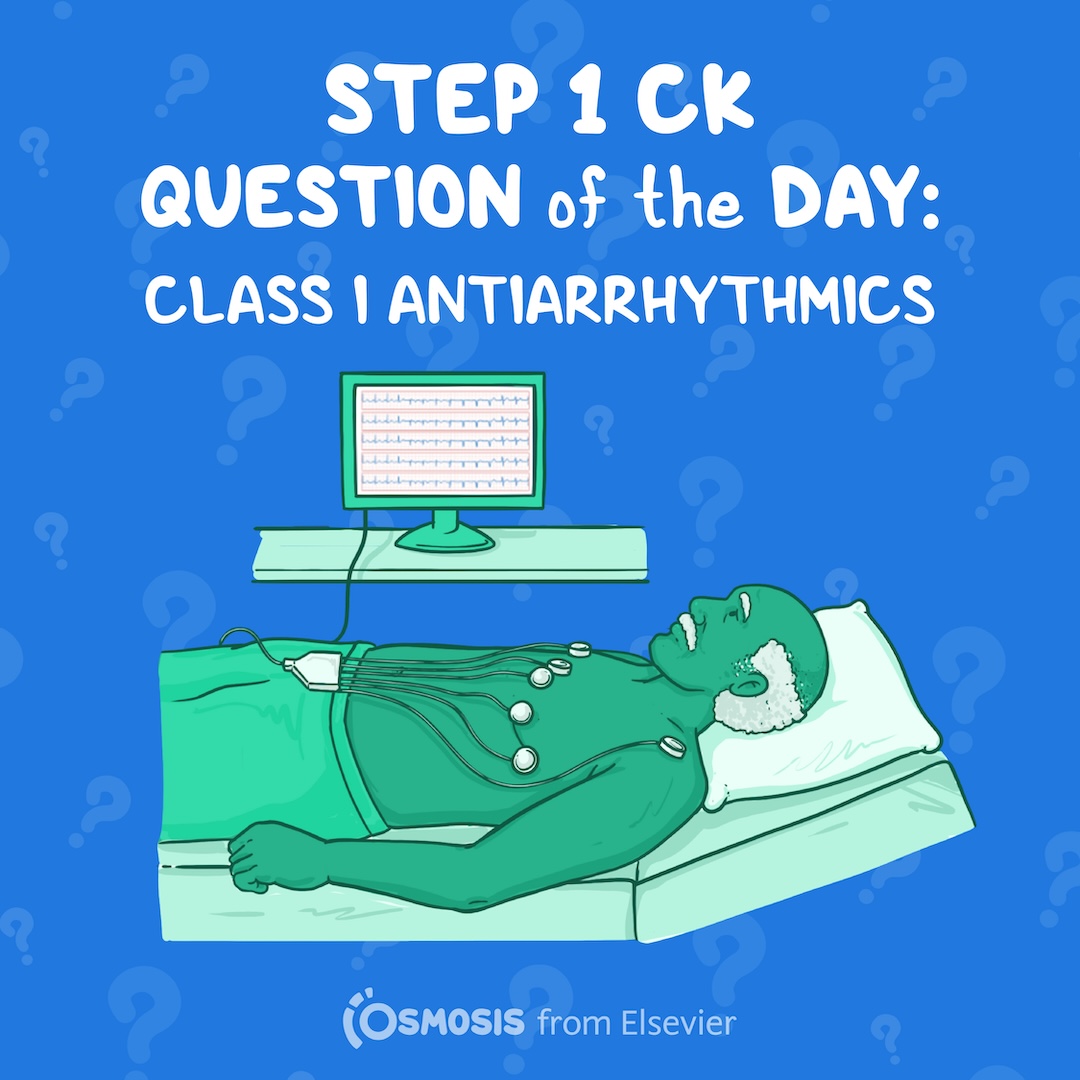 USMLE® Step 1 Question of the Day: Class I antiarrhythmics - Osmosis Blog