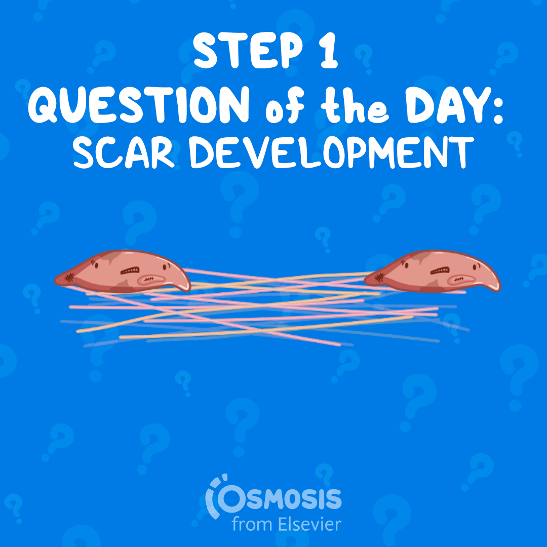 USMLE Step 1 Archives - Osmosis Blog